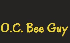 Bee News - OC Bee Guy